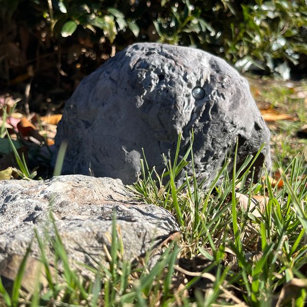 XtremeLife - Landscape Rock Outdoor Hidden Camera – Spy Gadgets